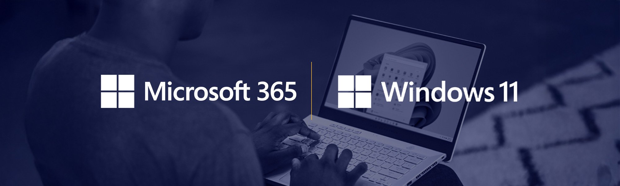 Microsoft 365 vs Windows 11: What's Right for You?
